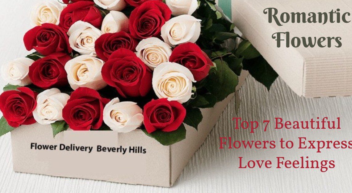 Top 7 Beautiful Romantic flowers to Express Love Feelings